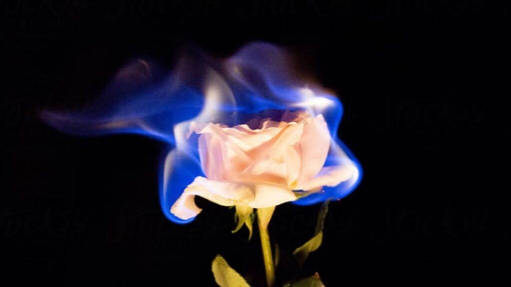 Cold Flames A Poem Of Fire And Ice